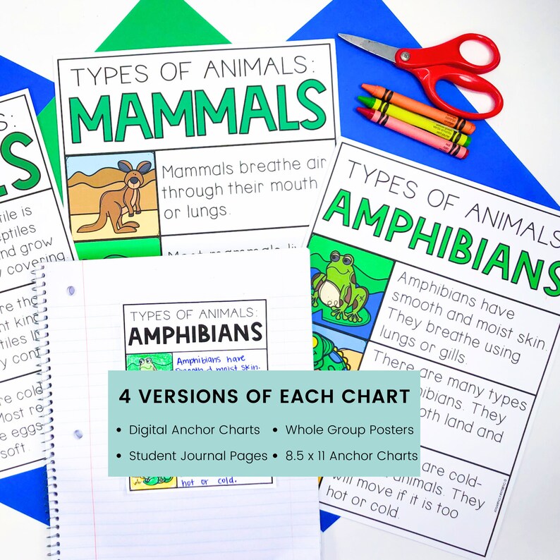 Animal Classifying | Mammal, Reptile, and Bird Anchor Charts for First ...