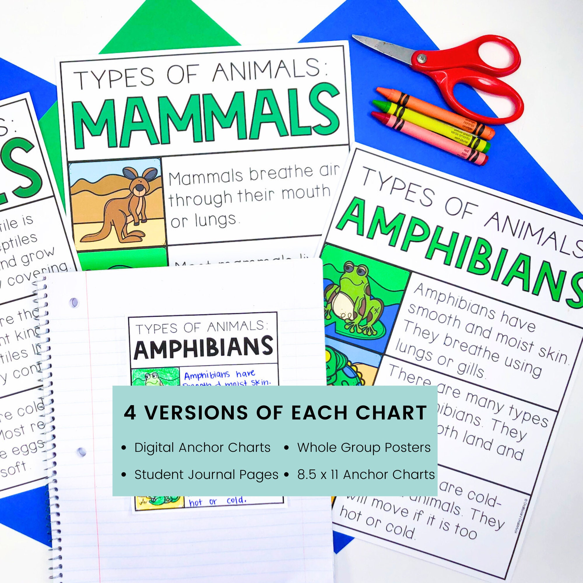 Animal Classifying | Mammal, Reptile, and Bird Anchor Charts for First ...