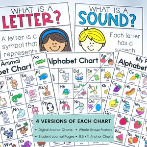 Letter and Sound Phonics Anchor Charts and Classroom Posters - Etsy