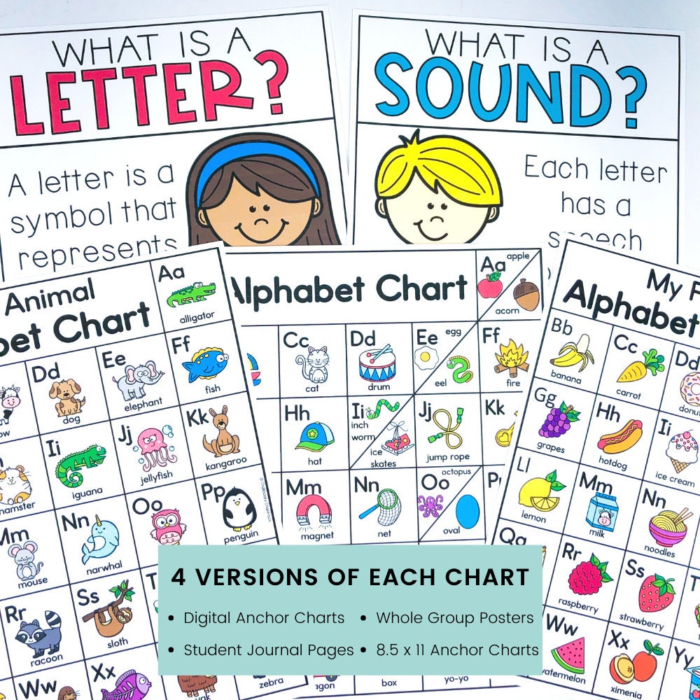 Letter and Sound Phonics Anchor Charts and Classroom Posters - Etsy