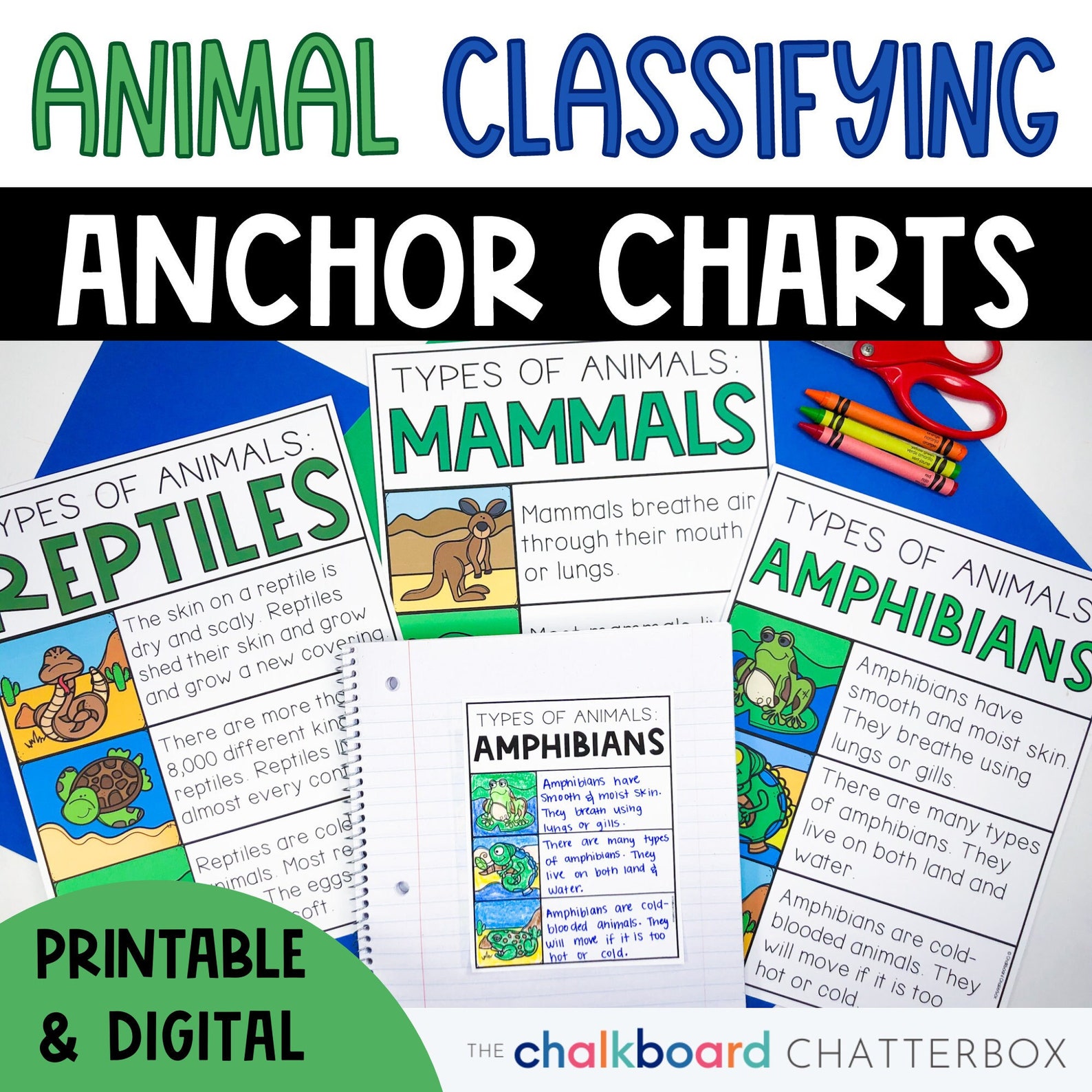 Animal Classifying | Mammal, Reptile, and Bird Anchor Charts for First ...