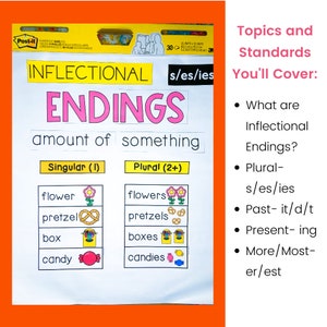 Inflectional Endings -s -ed -ing Phonics Anchor Charts and Classroom ...