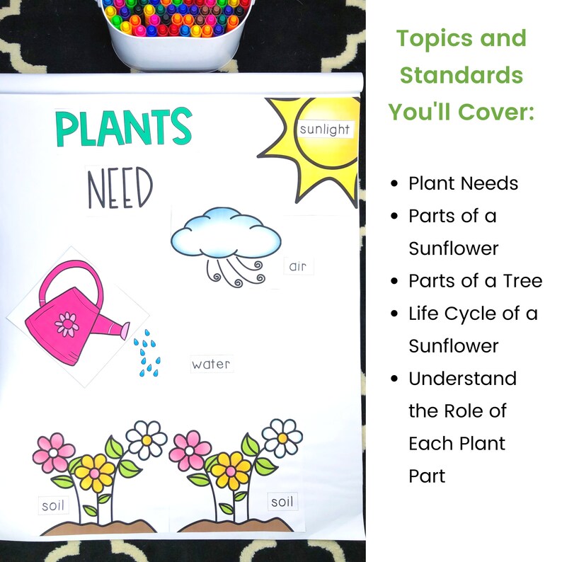 Parts of a Plant and Plant Life Cycle Anchor Charts for Kindergarten ...