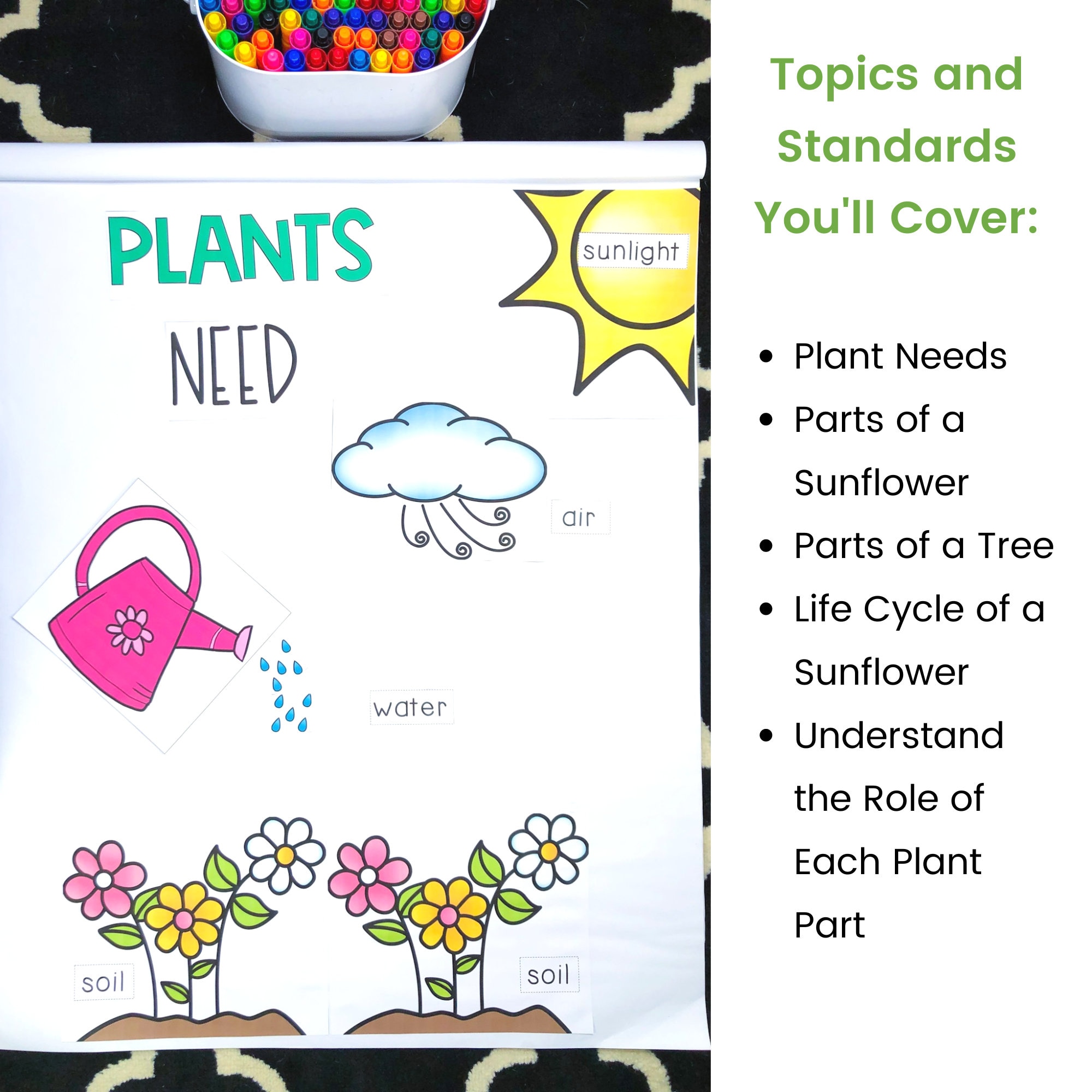 Parts of a Plant and Plant Life Cycle Anchor Charts for Kindergarten ...