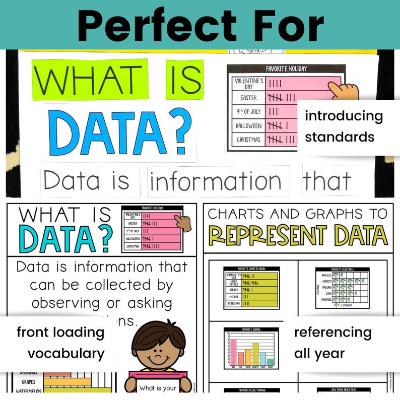 Data Analysis Anchor Charts: Bar Graphs & Tally Charts (digital ...