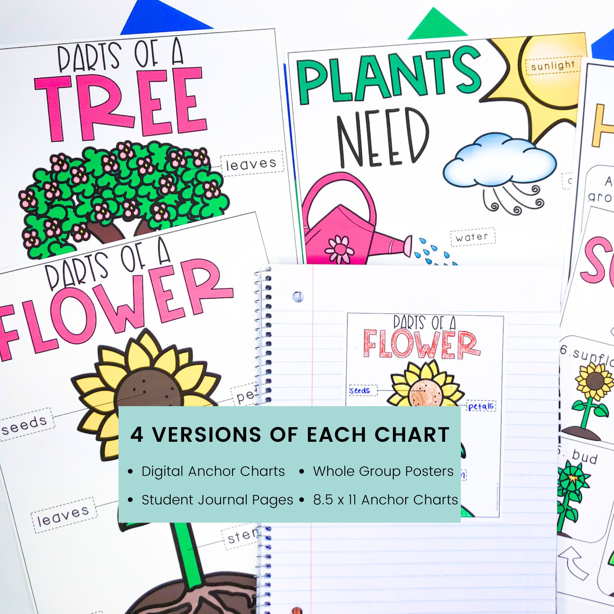 Parts of a Plant and Plant Life Cycle Anchor Charts for Kindergarten ...