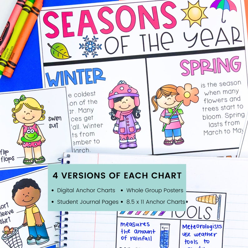 Weather and Season Anchor Charts for First and Second Grade - Etsy