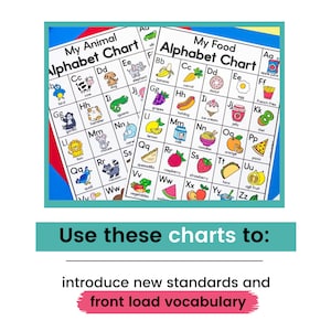Letter and Sound Phonics Anchor Charts and Classroom Posters - Etsy