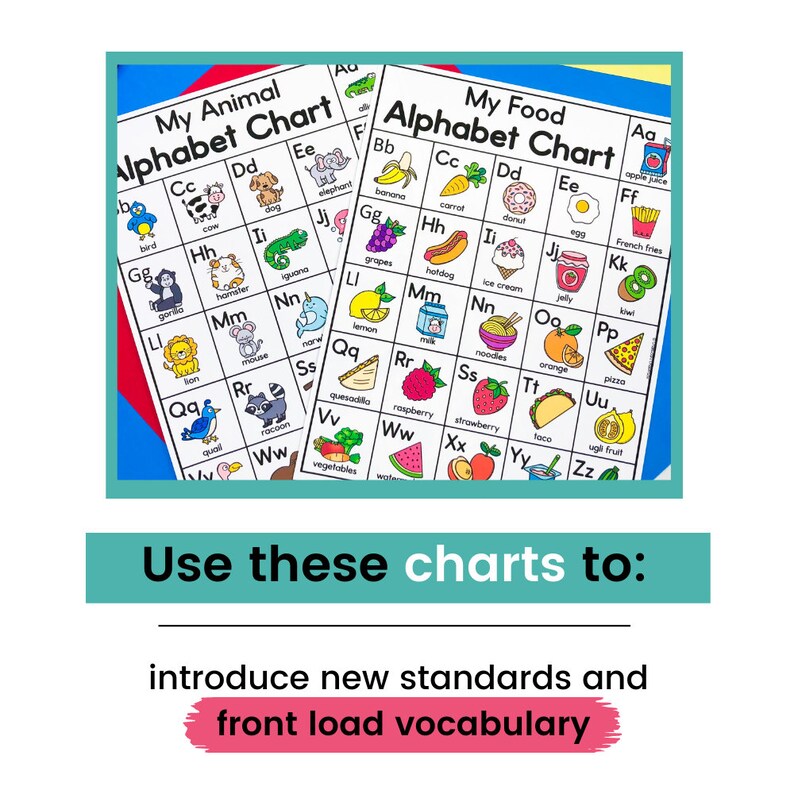 Letter and Sound Phonics Anchor Charts and Classroom Posters - Etsy