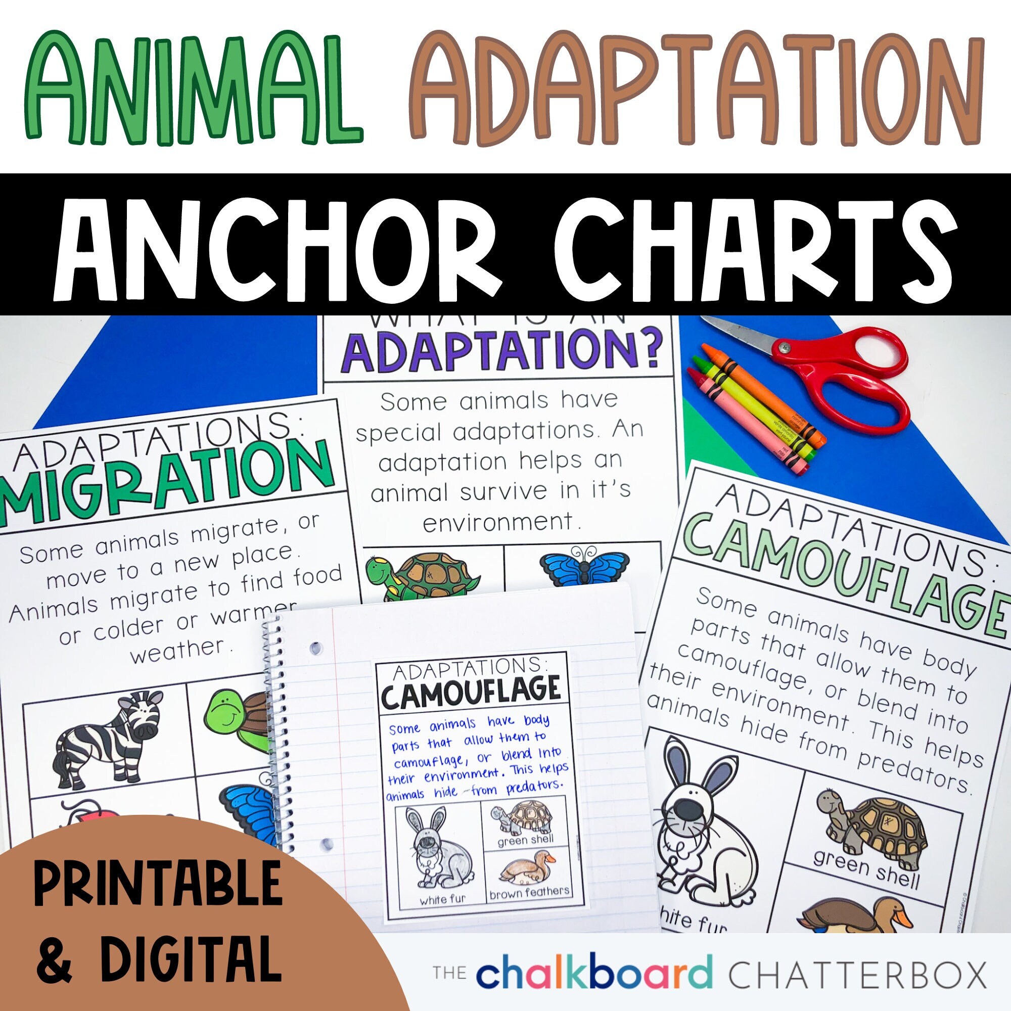 Animal Adaptation Charts