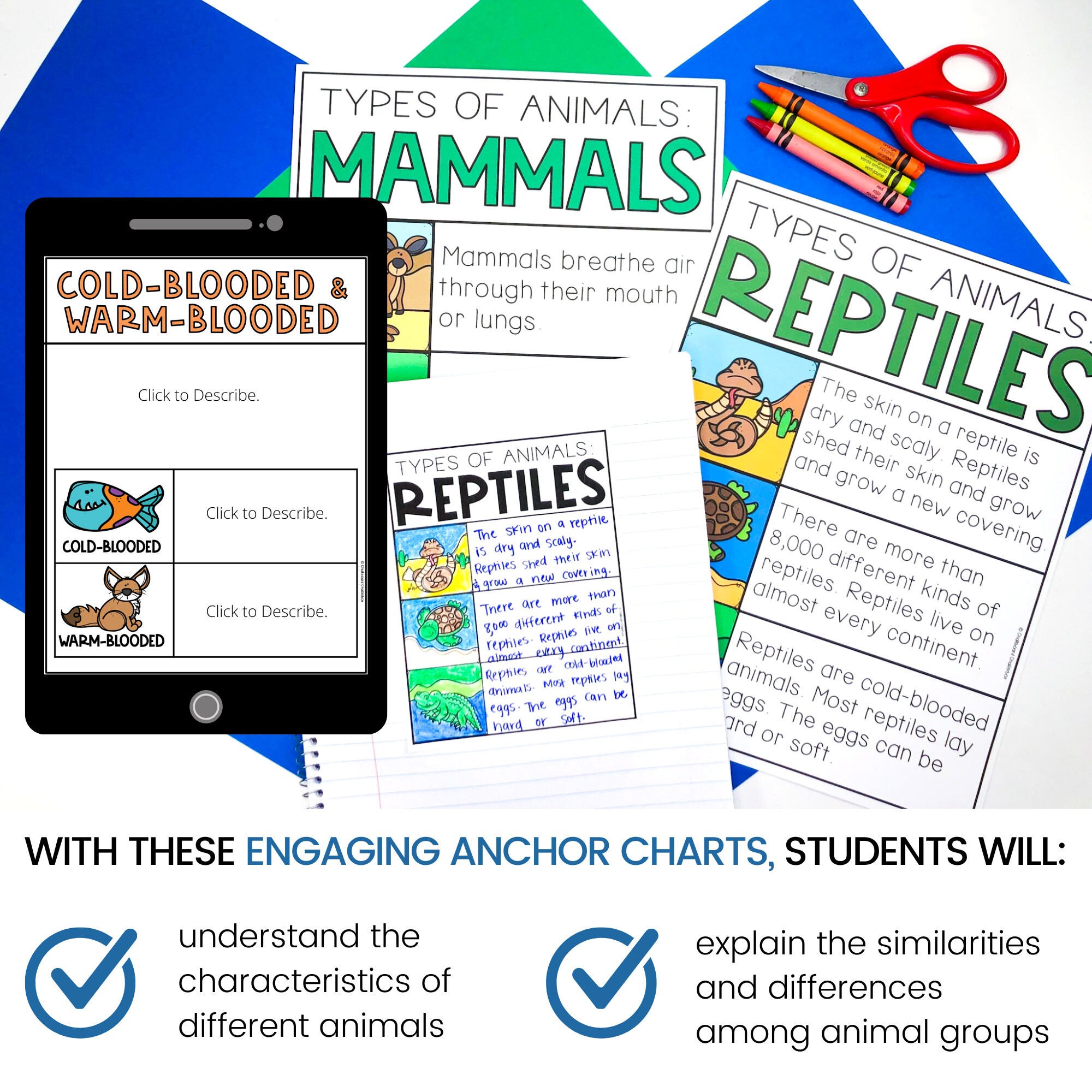 Animal Classifying | Mammal, Reptile, and Bird Anchor Charts for First ...