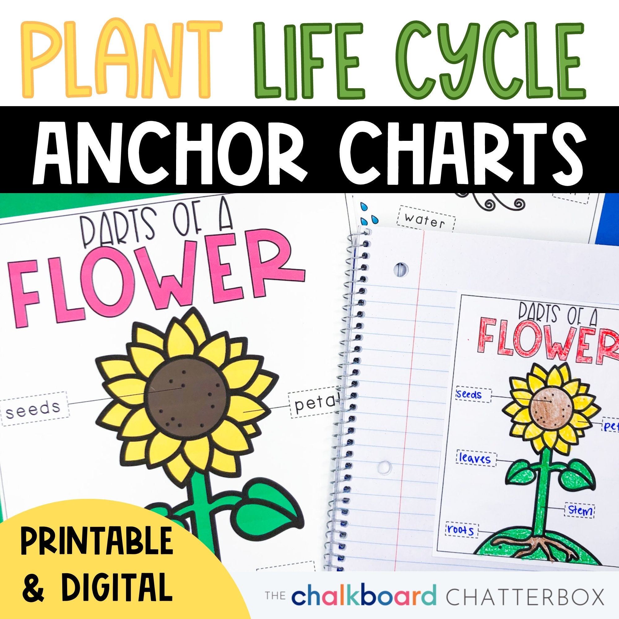 Parts of a Plant and Plant Life Cycle Anchor Charts for Kindergarten ...