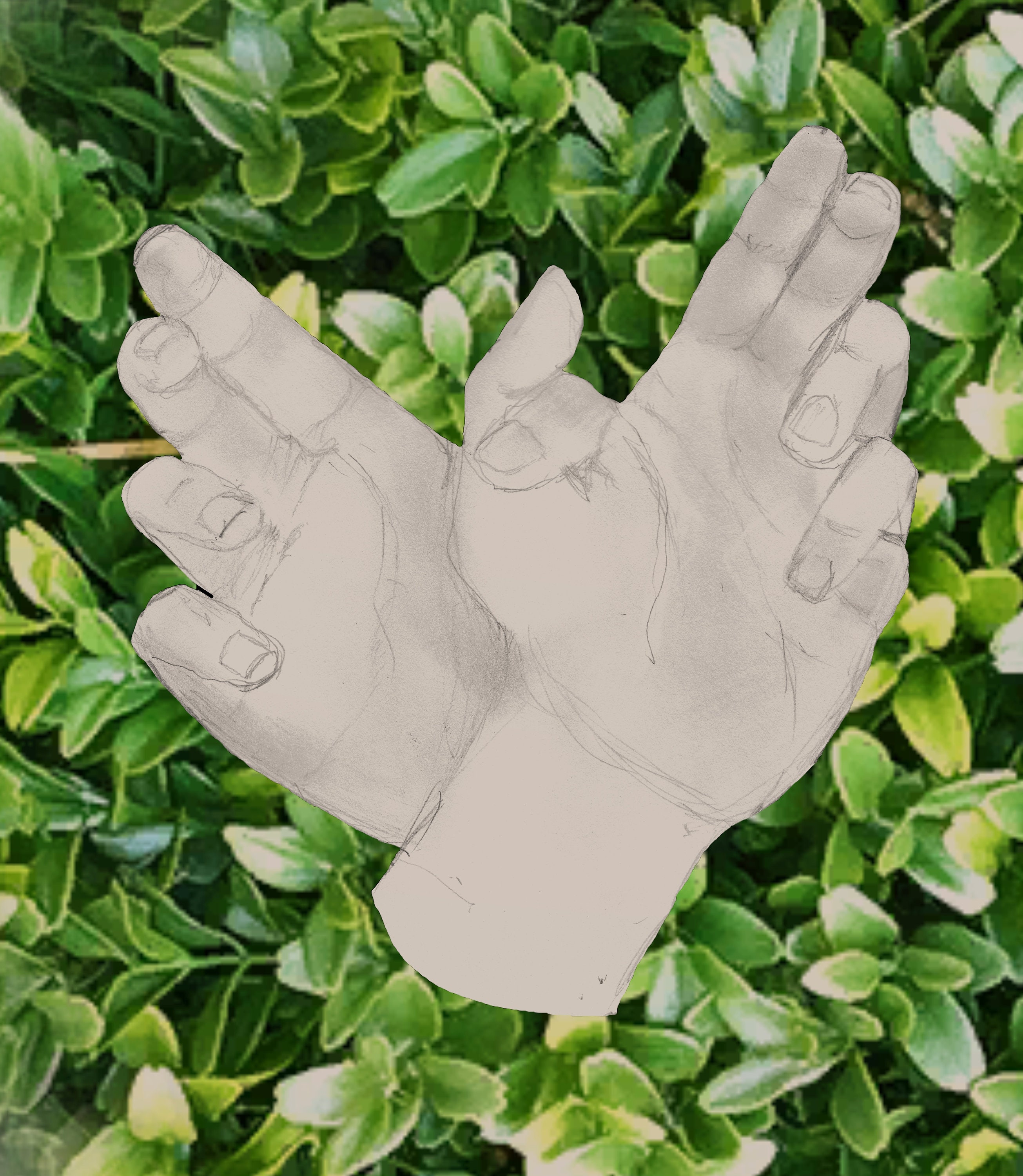 Vintage Hand Drawing / Sketch of Hands / Dreamer's Hands Sketch ...