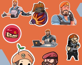 PACK SAGE Sticker VALORANT Meme - Etsy