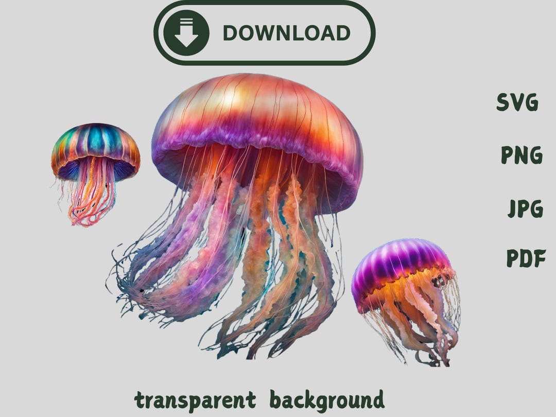 Jellyfish, Ocean, Marine Life, Gifts for Ocean Lovers. - Etsy