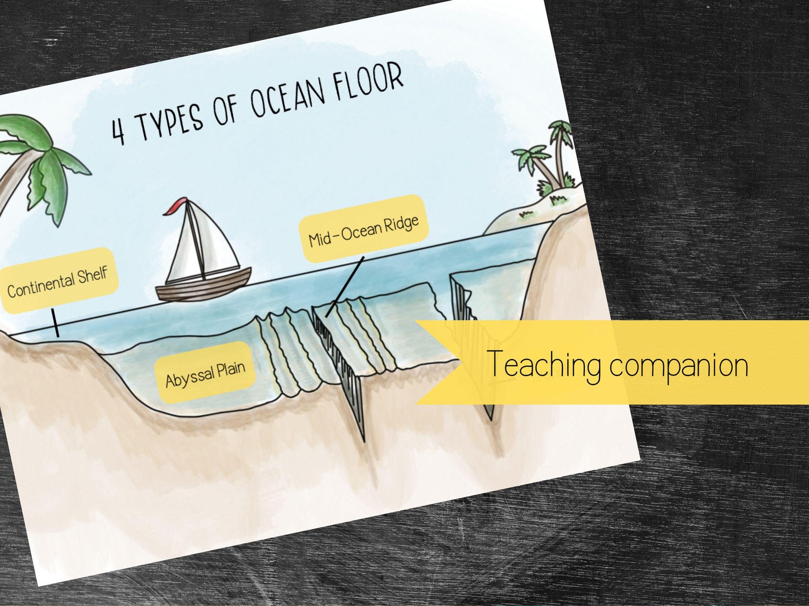 Classical Conversations Cycle 1 Week 18 Science Handout | Types of ...