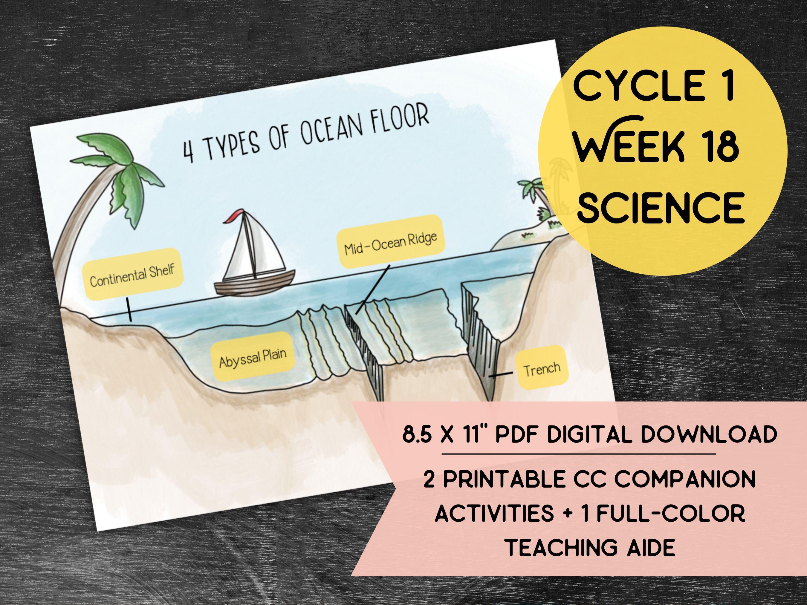 Classical Conversations Cycle 1 Week 18 Science Handout | Types of ...