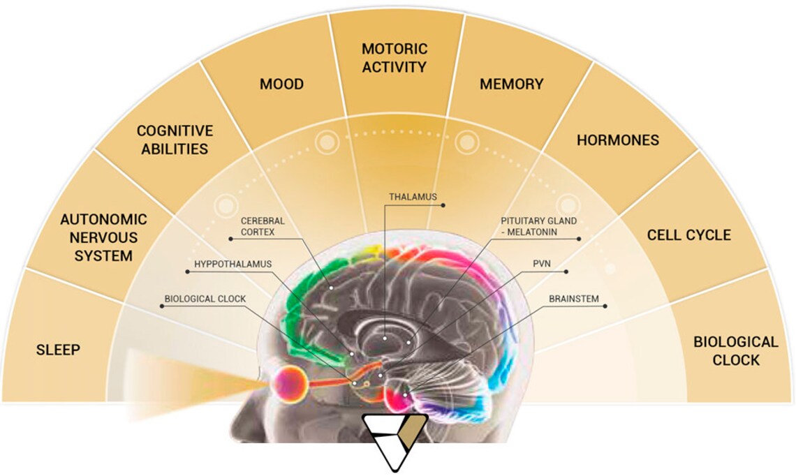 HYPERLIGHT OPTICS, for Outdoor - Etsy