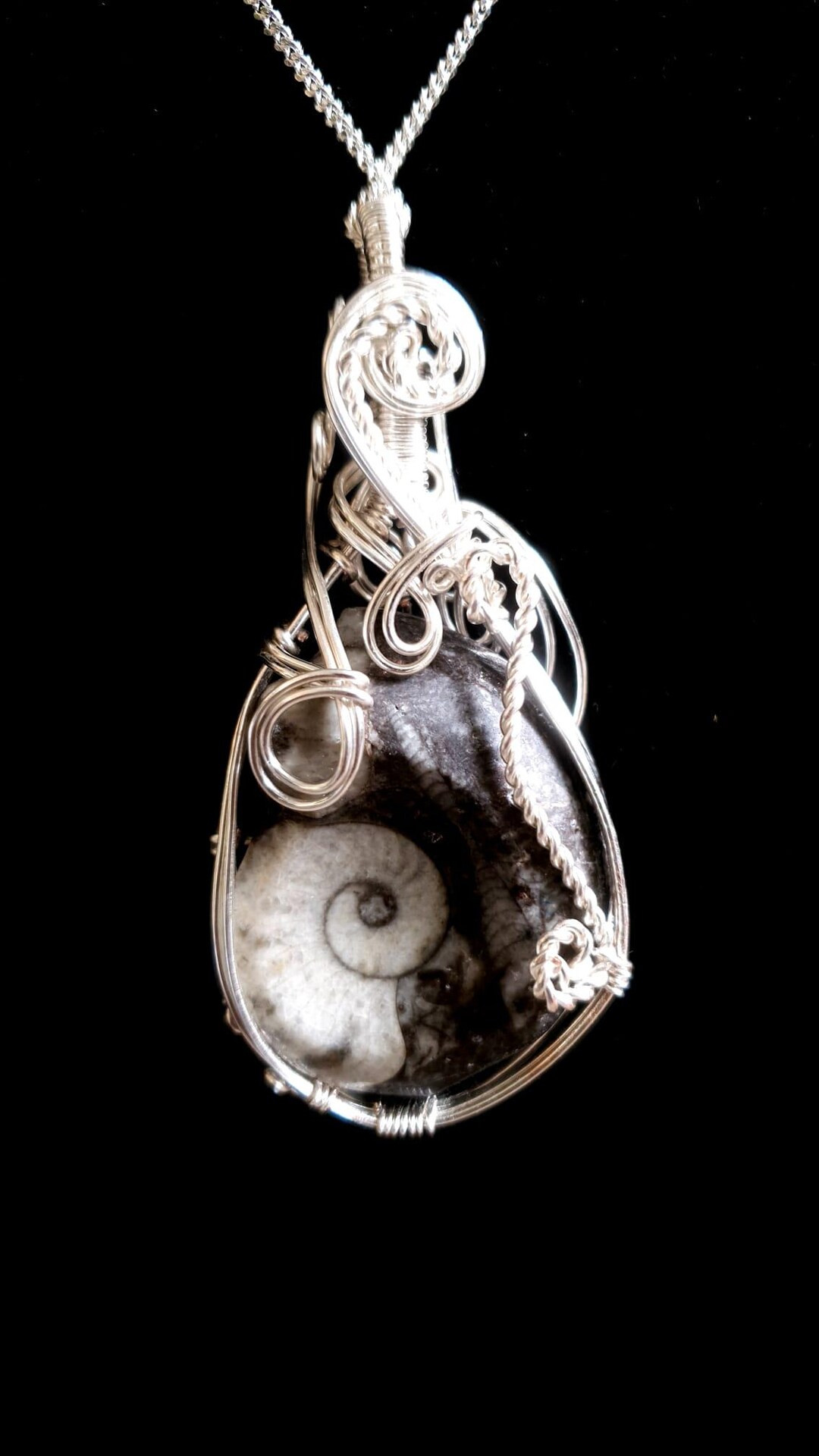 Ammonite Pendant Set in Silver Plate Wire Work silver Plated Chain ...