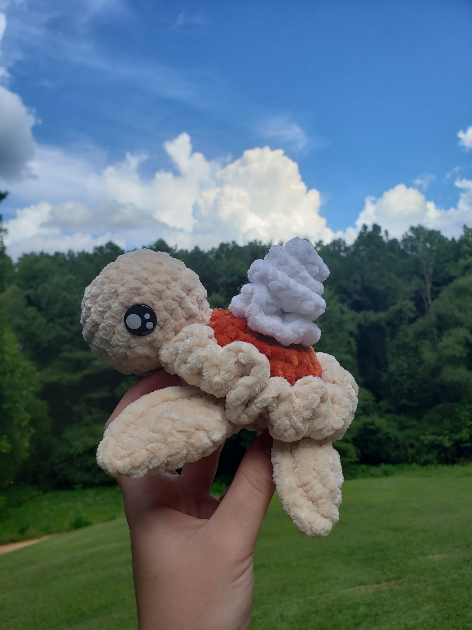 Pie Turtle Pattern Crochet PDF Download Beginner Friendly Amigurumi - Etsy