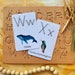 Nature Alphabet Flash Cards, ABC Flashcards, Alphabet Cards Printable ...
