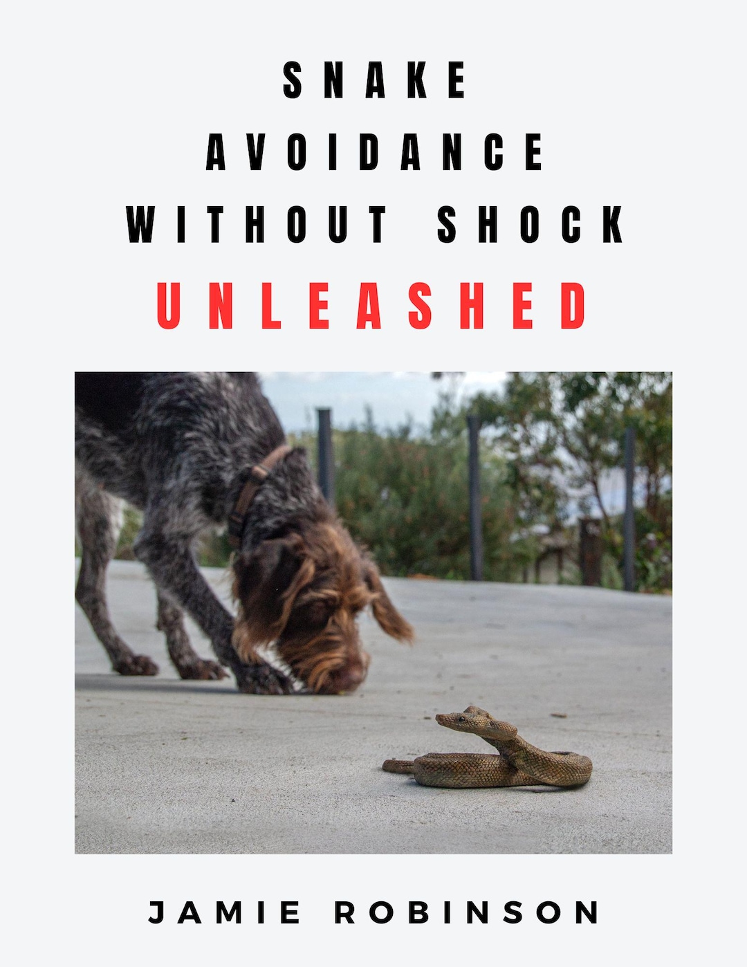 Snake Avoidance Without Shock Unleashed - Etsy