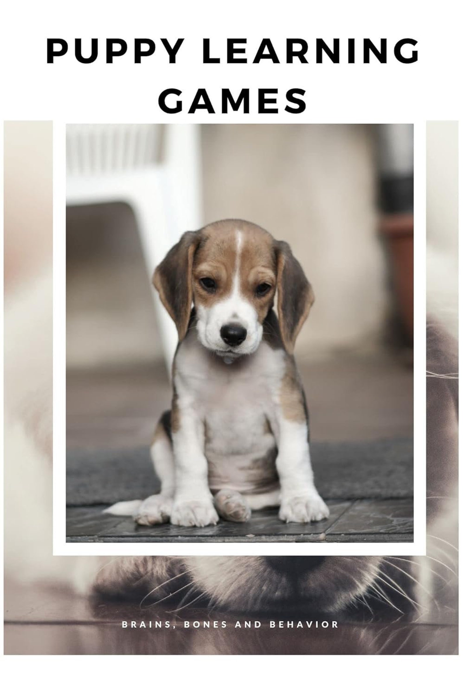 Puppy Learning Games - Etsy