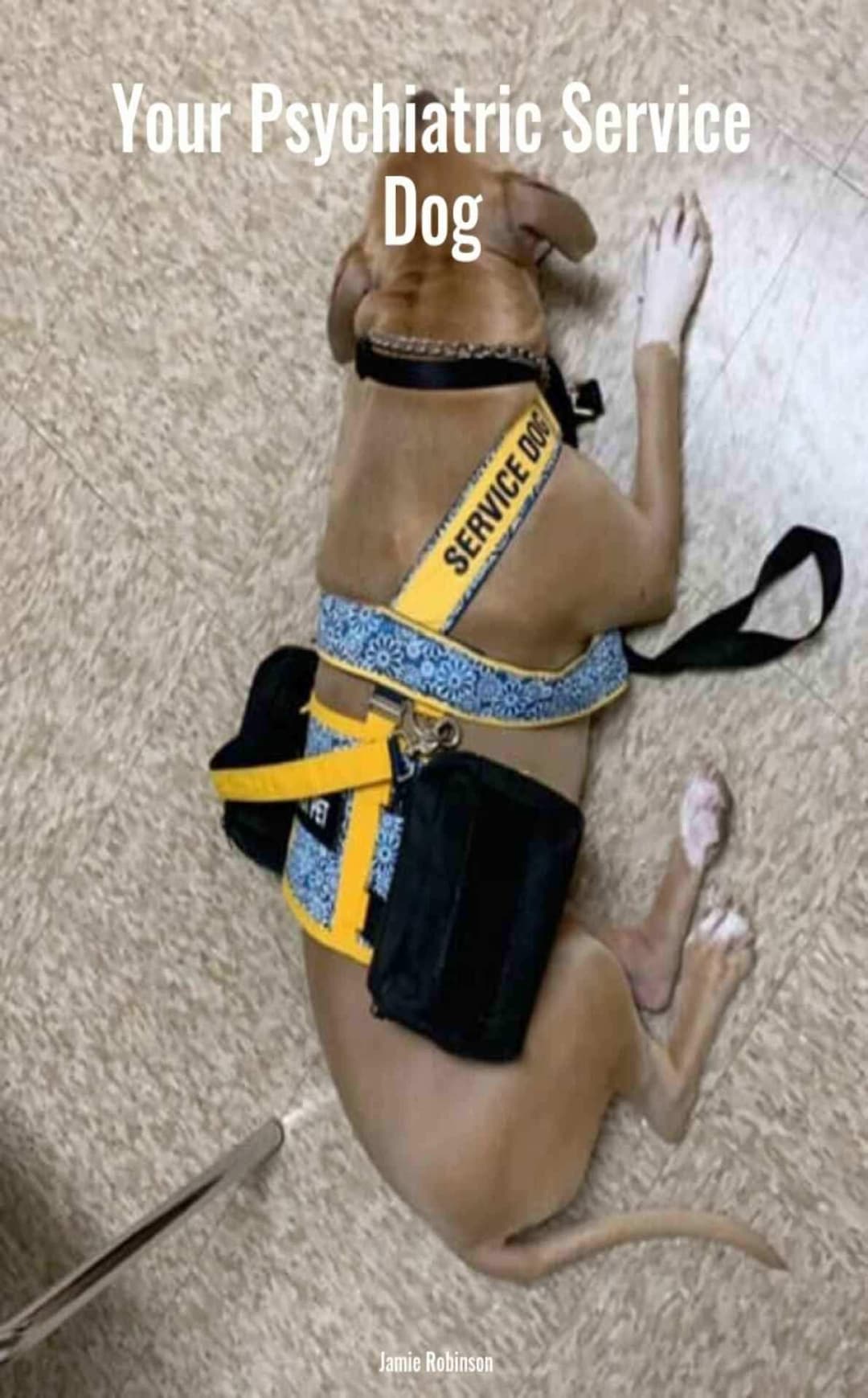 Your Psychiatric Service Dog - Etsy