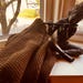JUSTIN || Chocolate Brown Throw Waffle Throw Dark Brown Throw Brown ...