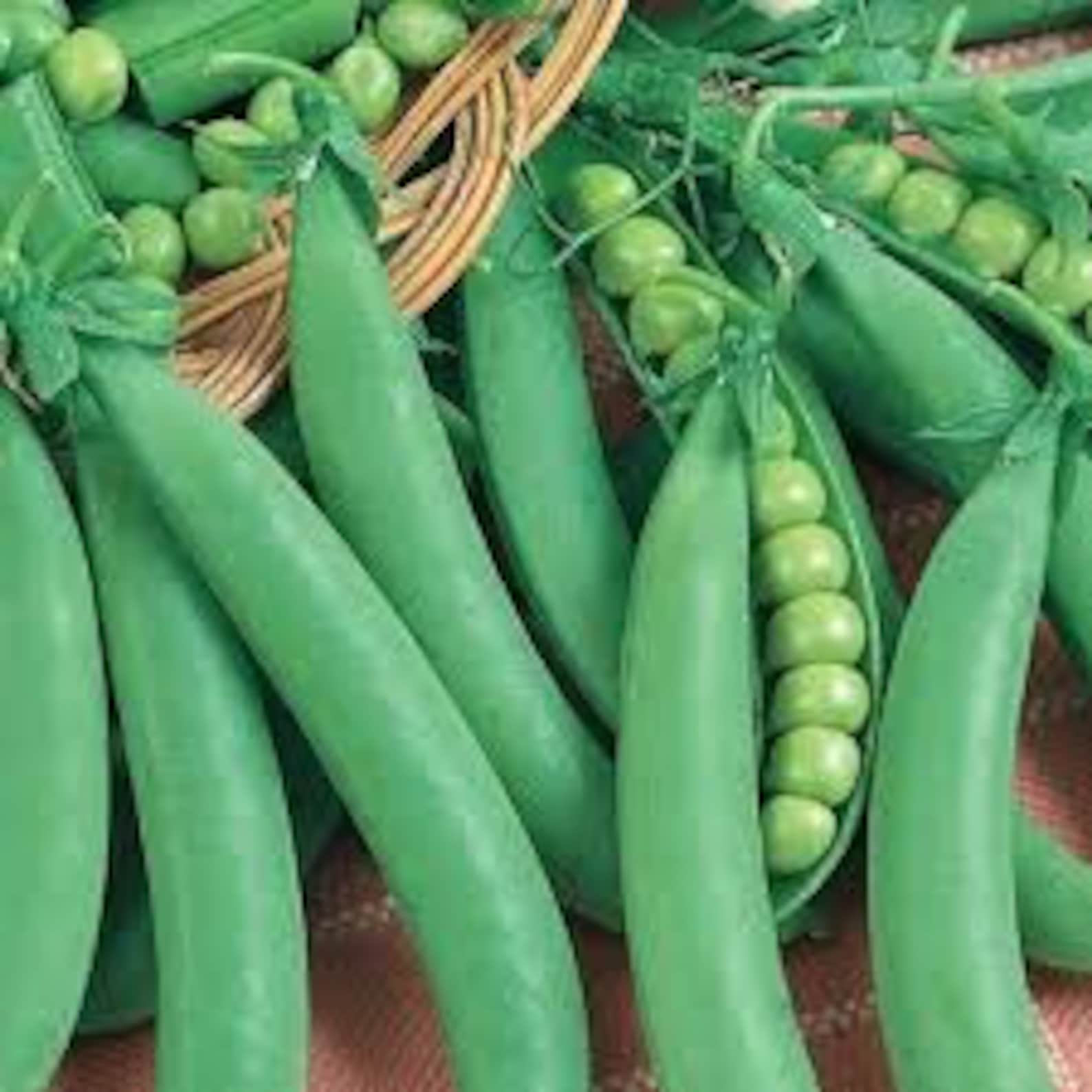 Heirloom Seeds - 30 Varieties of Organic, Non-gmo, Heirloom Varietals ...