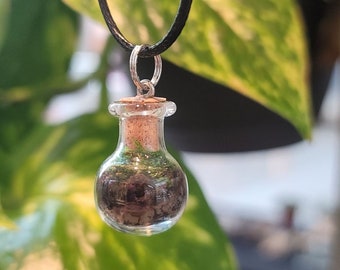 SALE Succulent Necklace / Mini Lotus Succulent Terrarium Necklace ...