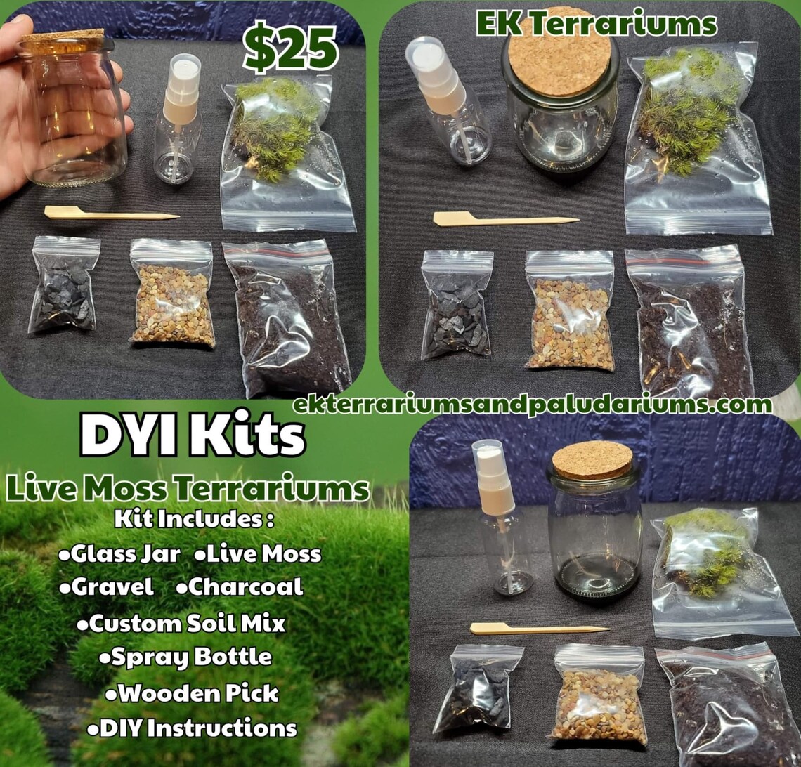 DIY Terrarium Kit Terrarium Create Your Own Terrarium DIY - Etsy