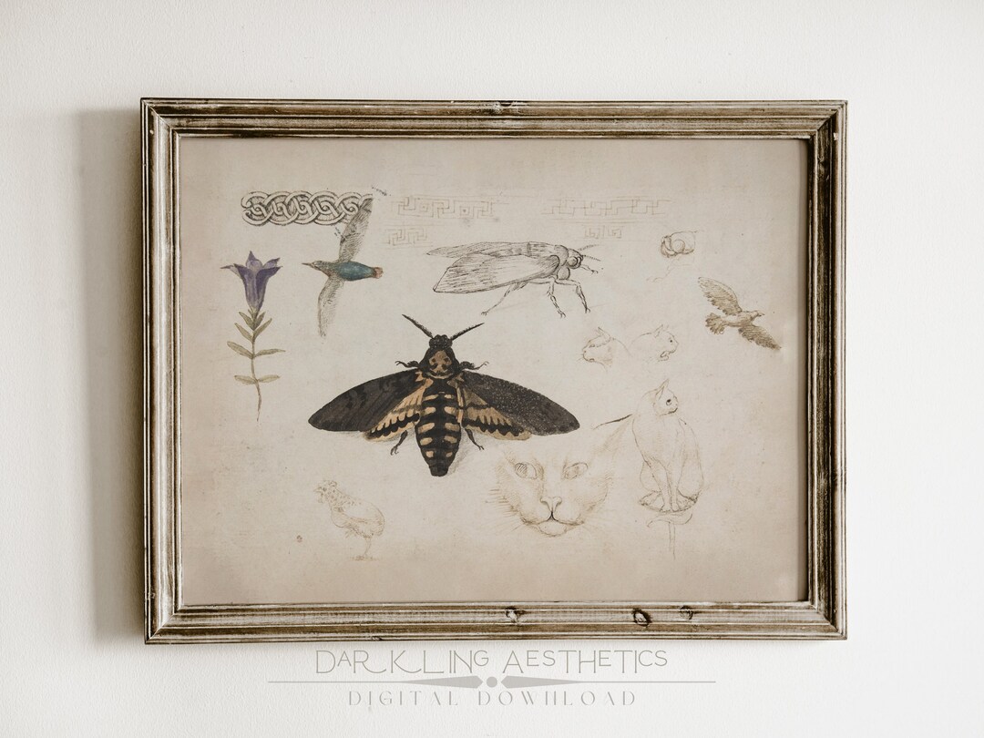 Vintage Ephemera Sketch Book Print Cottagecore Moody - Etsy