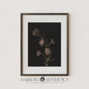 Set of 3 Dark Botanicals Prints | Vintage Moody Victorian Floral ...