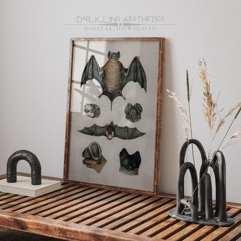 Vintage Bat Chart | Moody Vampire Victorian Dark Cottagecore Printable ...