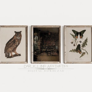 Set of 8 Dark Cottagecore Prints | Vintage Moody Dark Forest Academia ...