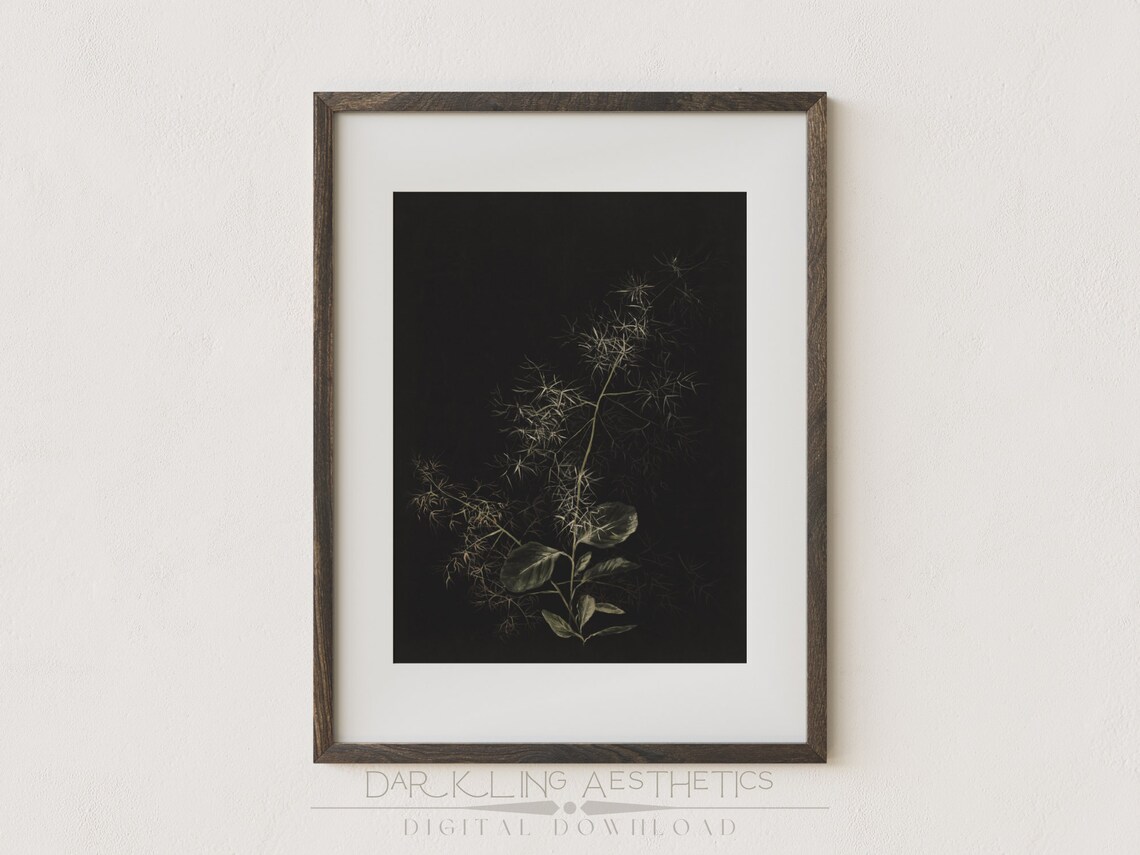 Dark Botanical Print 01 Vintage Moody Victorian Floral - Etsy