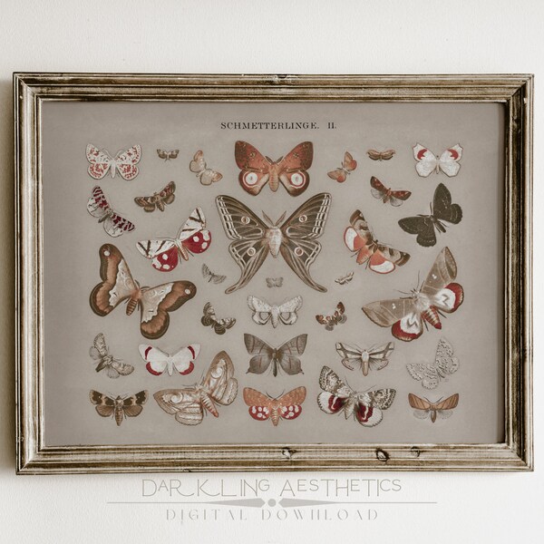 Victorian Wall Art - Etsy