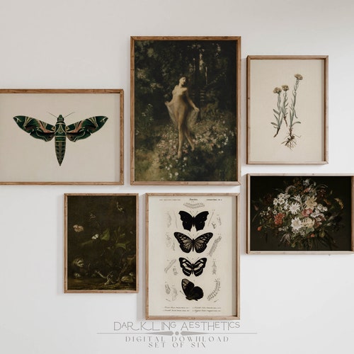 Set of 10 Dark Academia Gallery Wall Set Vintage Printables - Etsy
