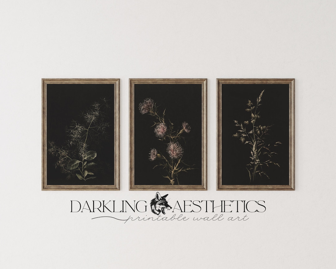Set of 3 Dark Botanicals Prints | Vintage Moody Victorian Floral ...