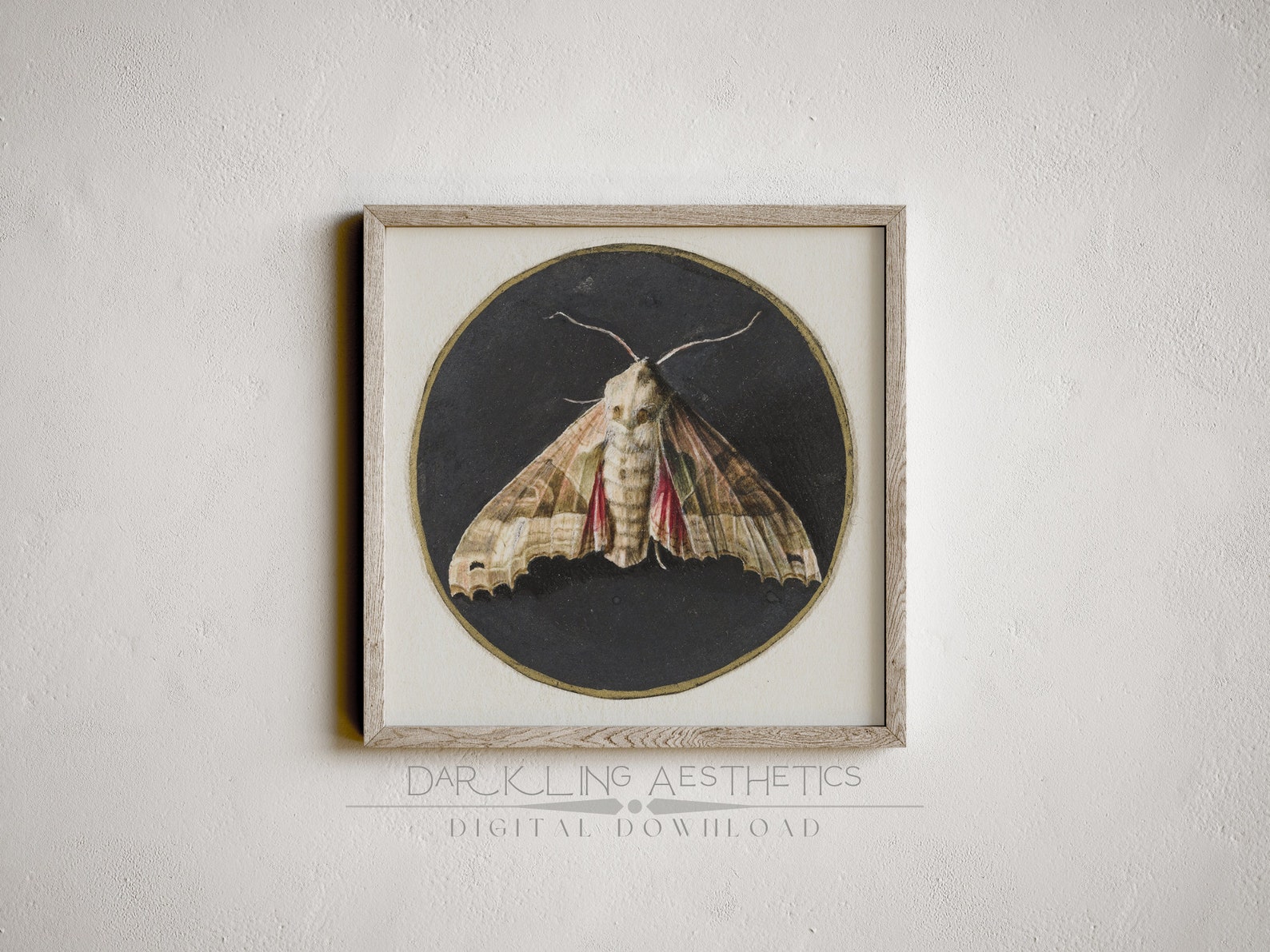 Vintage Victorian Moth Print Moody Dark Cottagecore Insect - Etsy