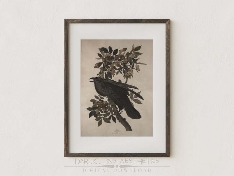 Vintage Raven Study Print Moody Dark Cottagecore Victorian - Etsy
