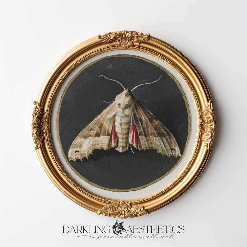 Vintage Victorian Moth Print | Moody Dark Cottagecore Insect Square ...