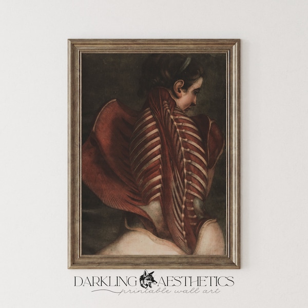 Gothic Muscle - Etsy