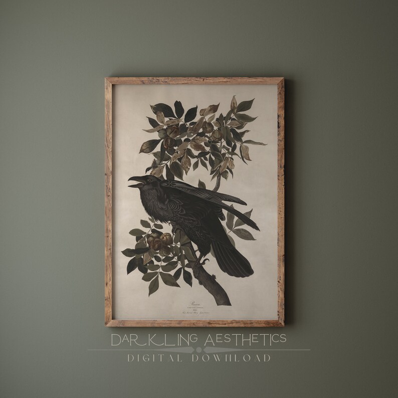 Vintage Raven Study Print Moody Dark Cottagecore Victorian - Etsy