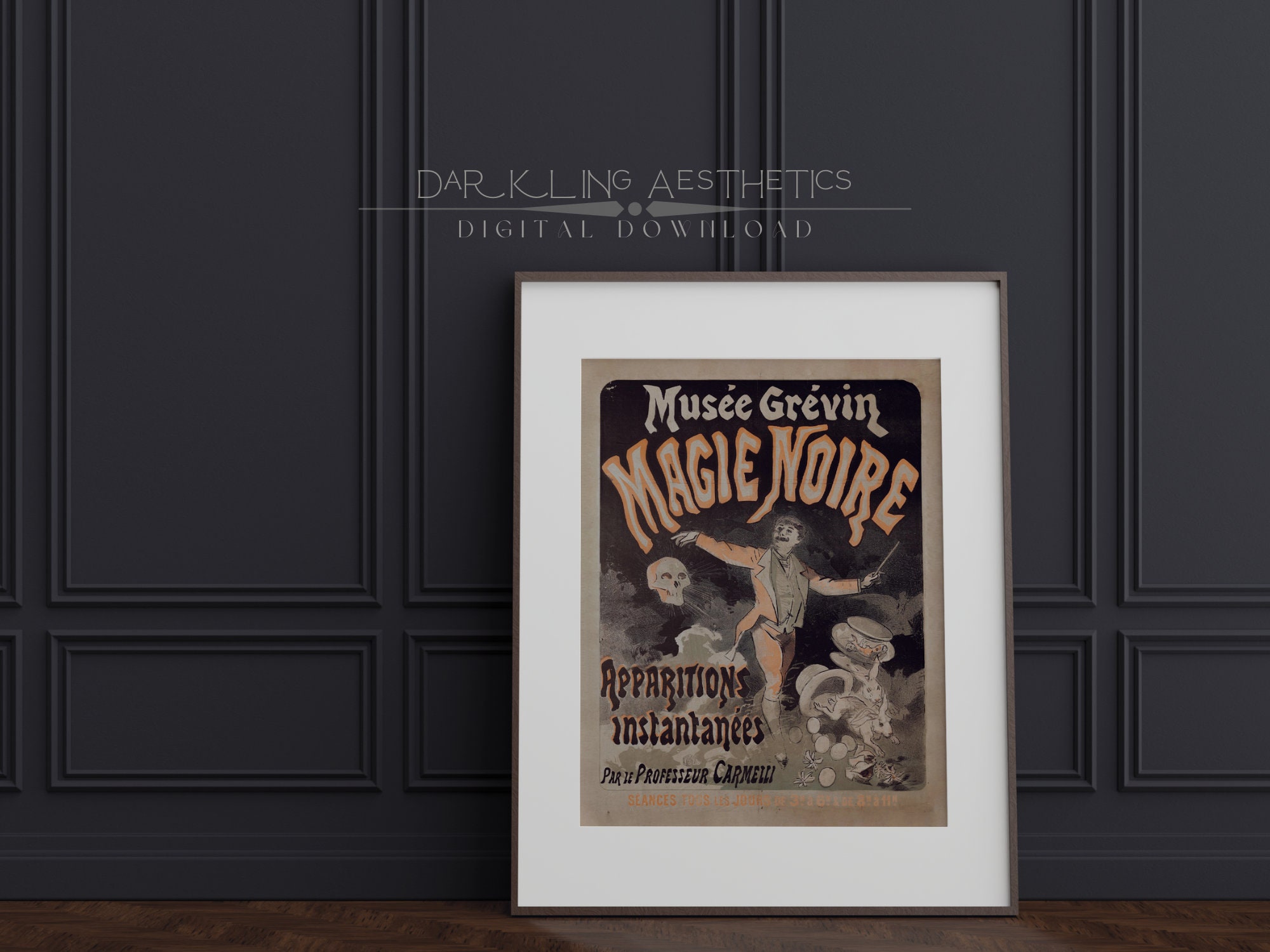 Black Magic French Show Poster Vintage Spooky Occult - Etsy