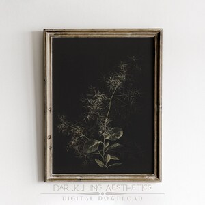 Set of 3 Dark Botanicals Prints Vintage Moody Victorian Floral ...