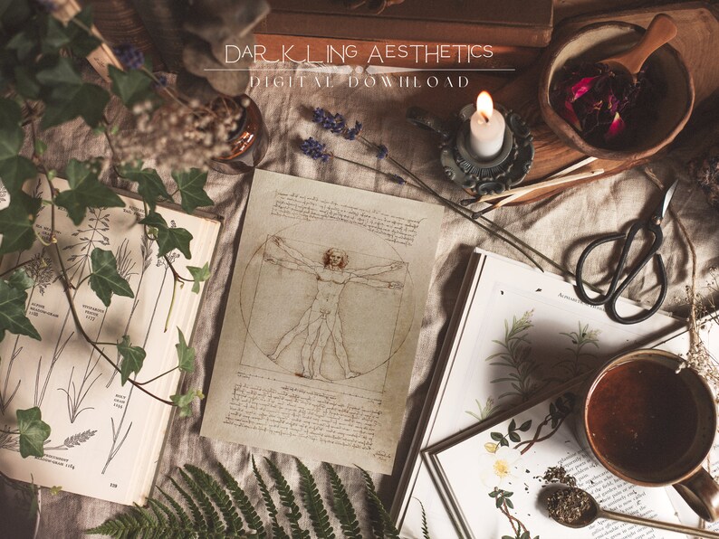 Vitruvian Man Print | Leonardo Da Vinci Famous Renaissance Altered ...