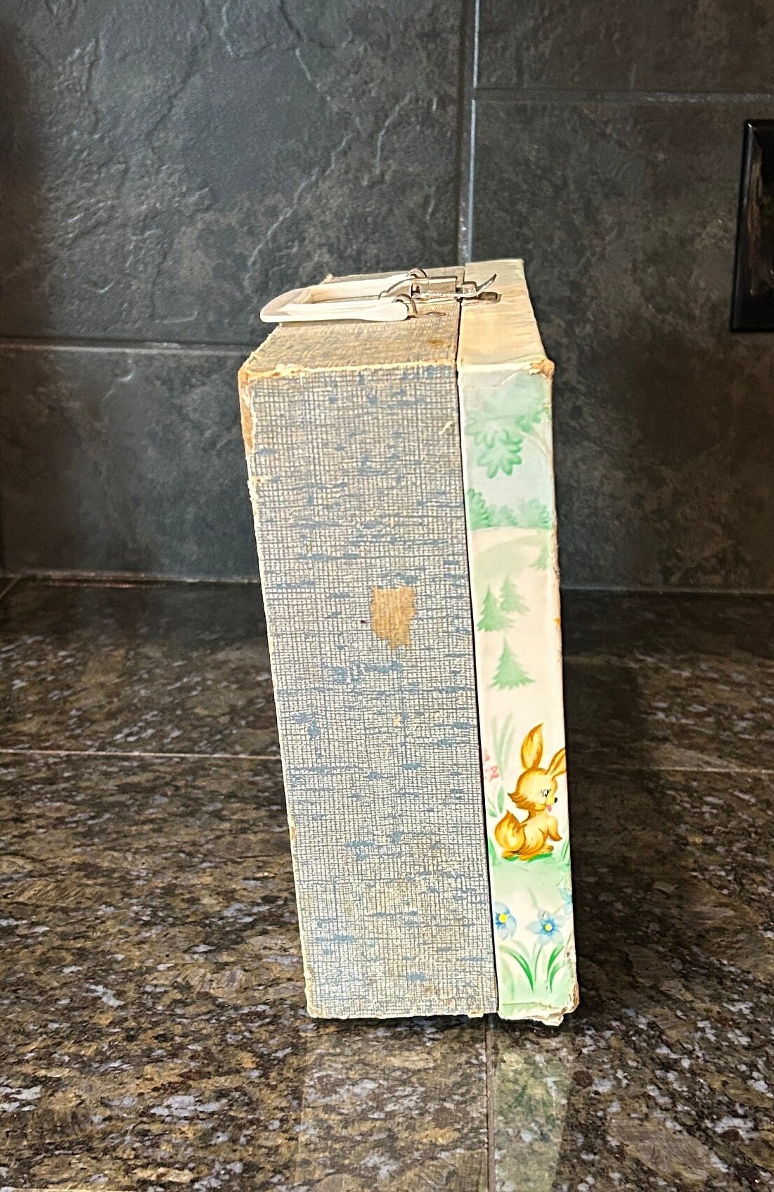 1950s Toyville Playland Child's Suitcase,doll Carry Case,toy Carry Case ...