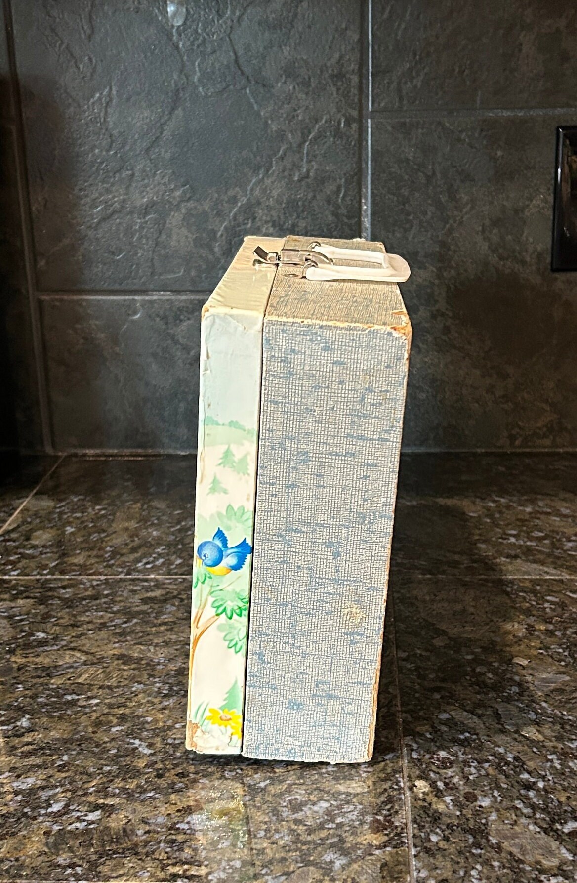 1950s Toyville Playland Child's Suitcase,doll Carry Case,toy Carry Case ...